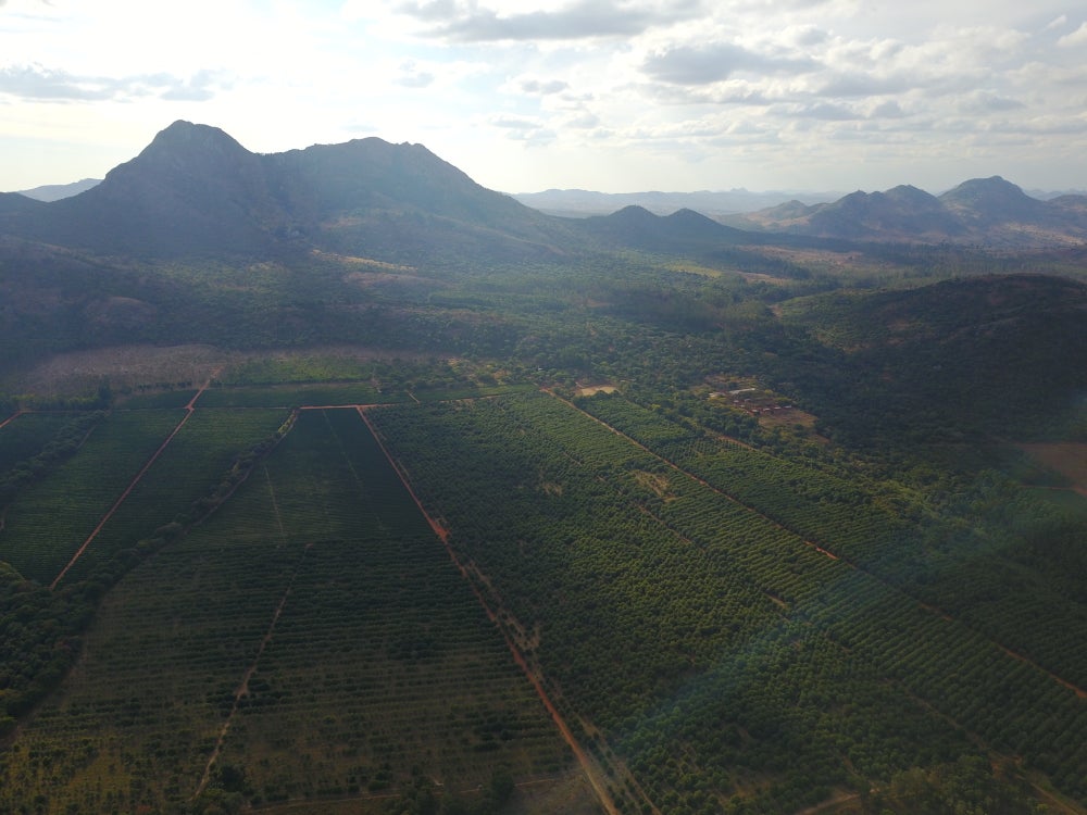 Malawi - Sable Farms - City Boy Coffee